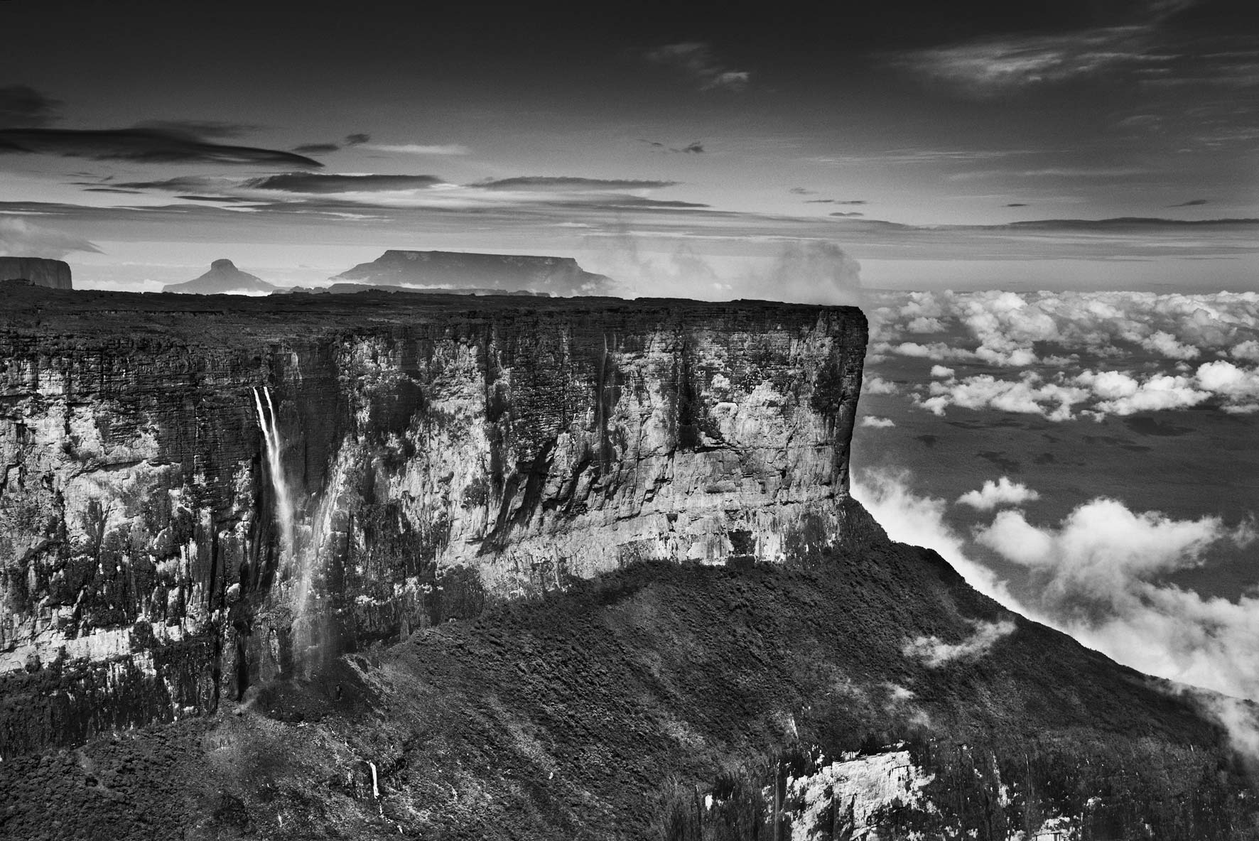 News - Amazon (rainforest) Investor Coalition