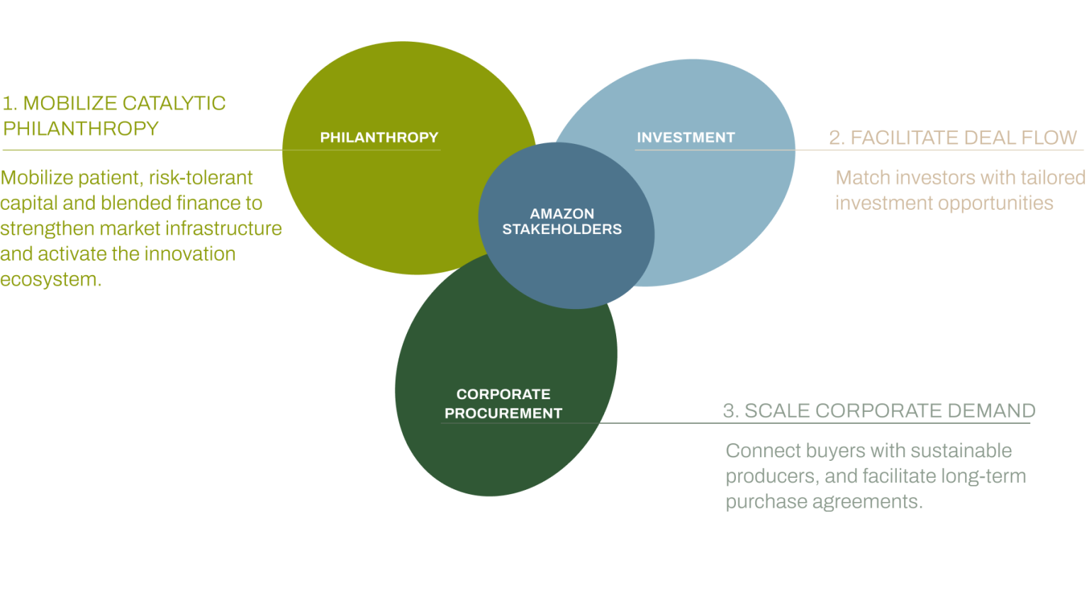 Our Strategy – Amazon Investor Coalition